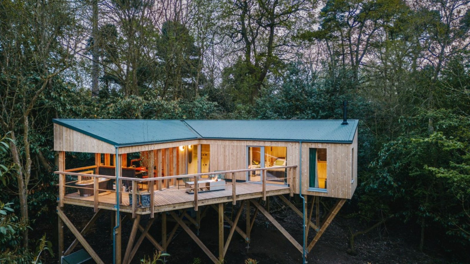 Top 10 Cabins for Birdwatching and Wildlife Photography - Sahtlamlodge